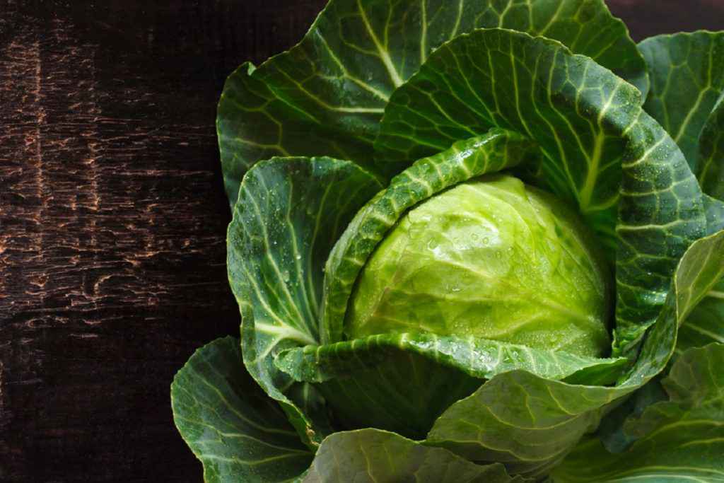 Ricette con il cavolo, i piatti facili e veloci | Buttalapasta