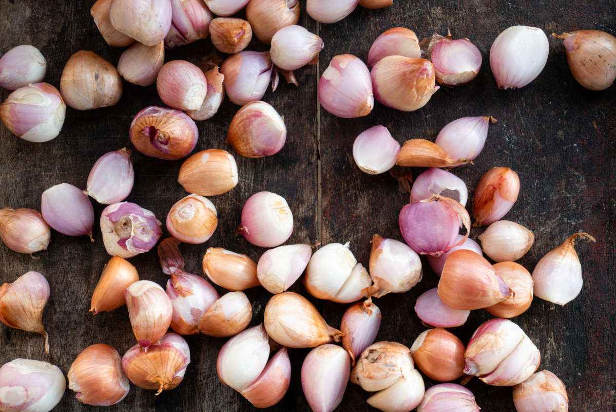 Scalogno: che cos'è e quando usarlo al posto della cipolla | Buttalapasta