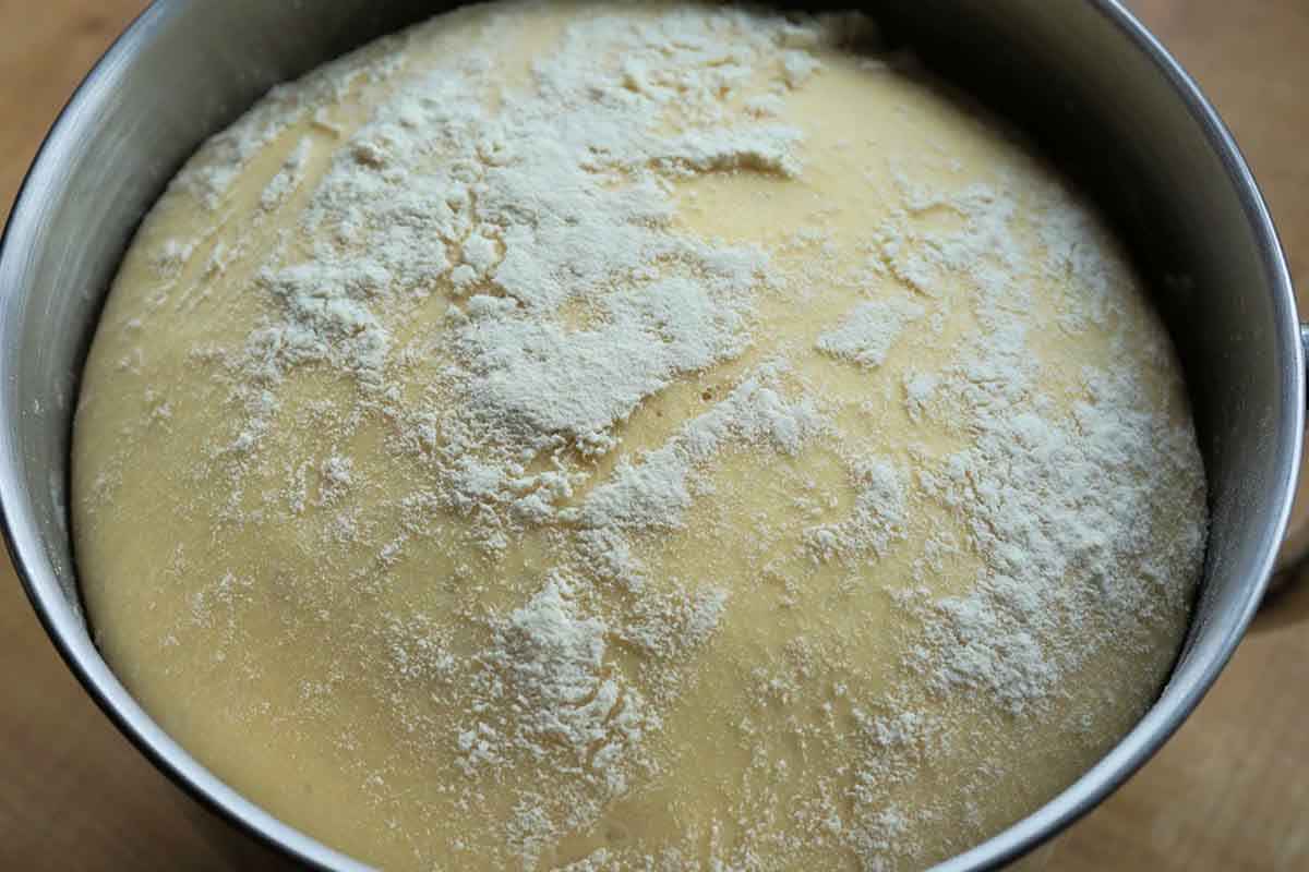 Crescia di Pasqua: la ricetta della tradizione marchigiana | Buttalapasta