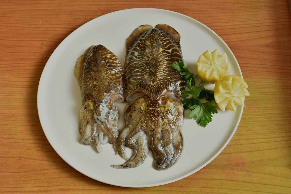 Come cucinare le seppie: guida pratica, consigli e ricette | Buttalapasta