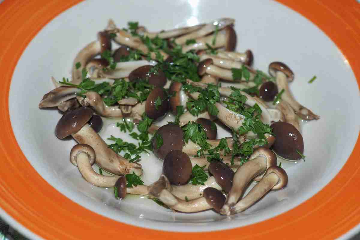 Funghi sott'olio, ricetta per porcini pioppini e non solo | Buttalapasta