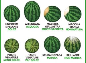 Dolce, poco matura o acquosa: come riconoscere lo stato di un'anguria ...
