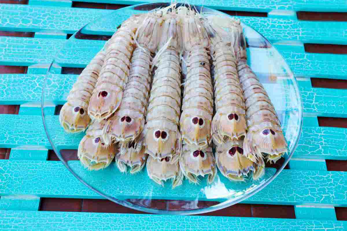 Come pulire le canocchie: la tecnica perfetta per aprirle senza ...