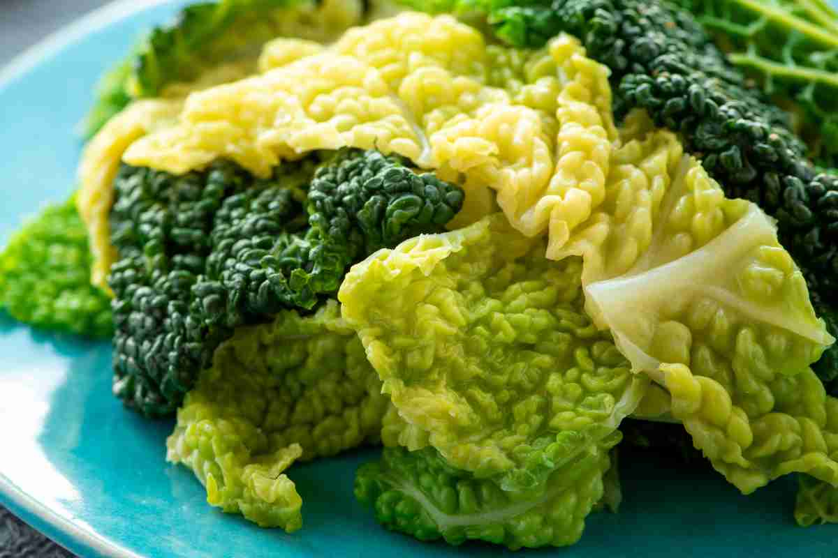 Verza stufata con la ricetta veloce | Buttalapasta