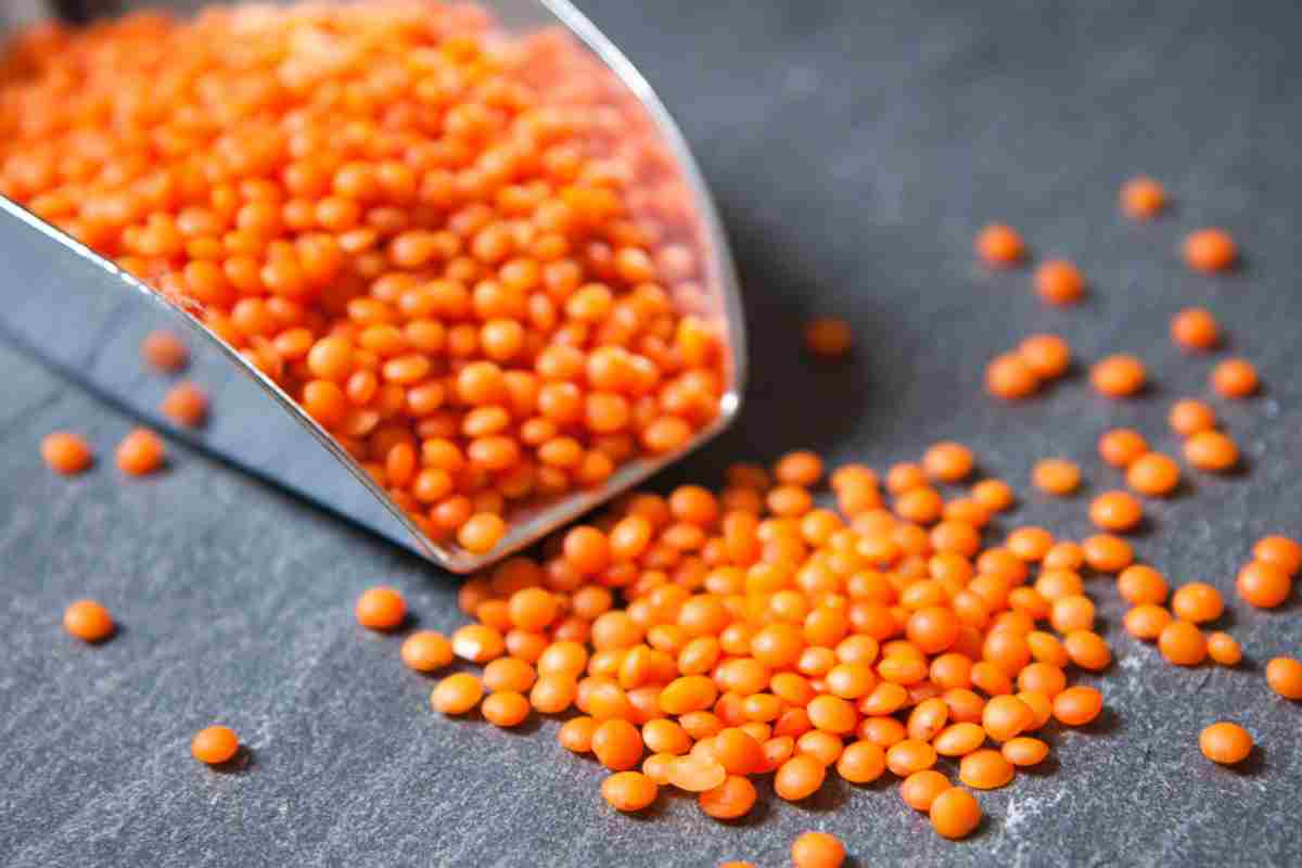 Sformato di lenticchie, ricetta facile e gustosa | Buttalapasta