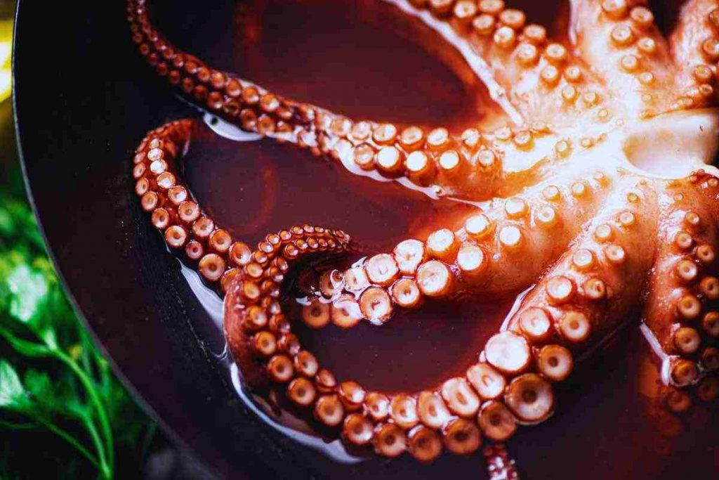 Polpo, il segreto degli chef per cuocerlo al meglio e renderlo morbido ...